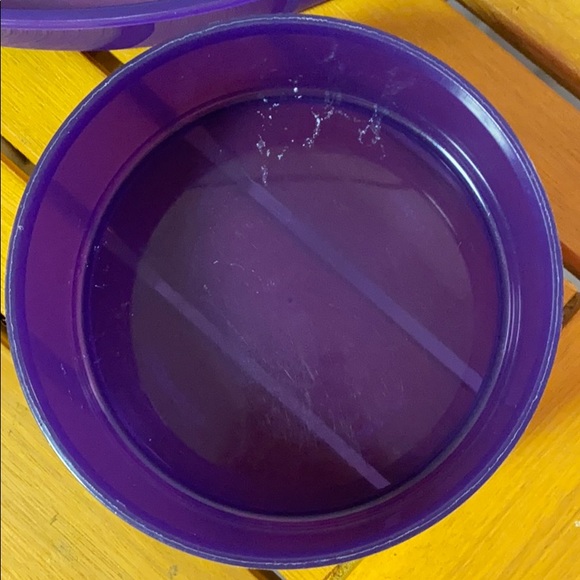 Tupperware | Kitchen | Purple Tupperware Chipdip Or Veggie Serving Tray ...